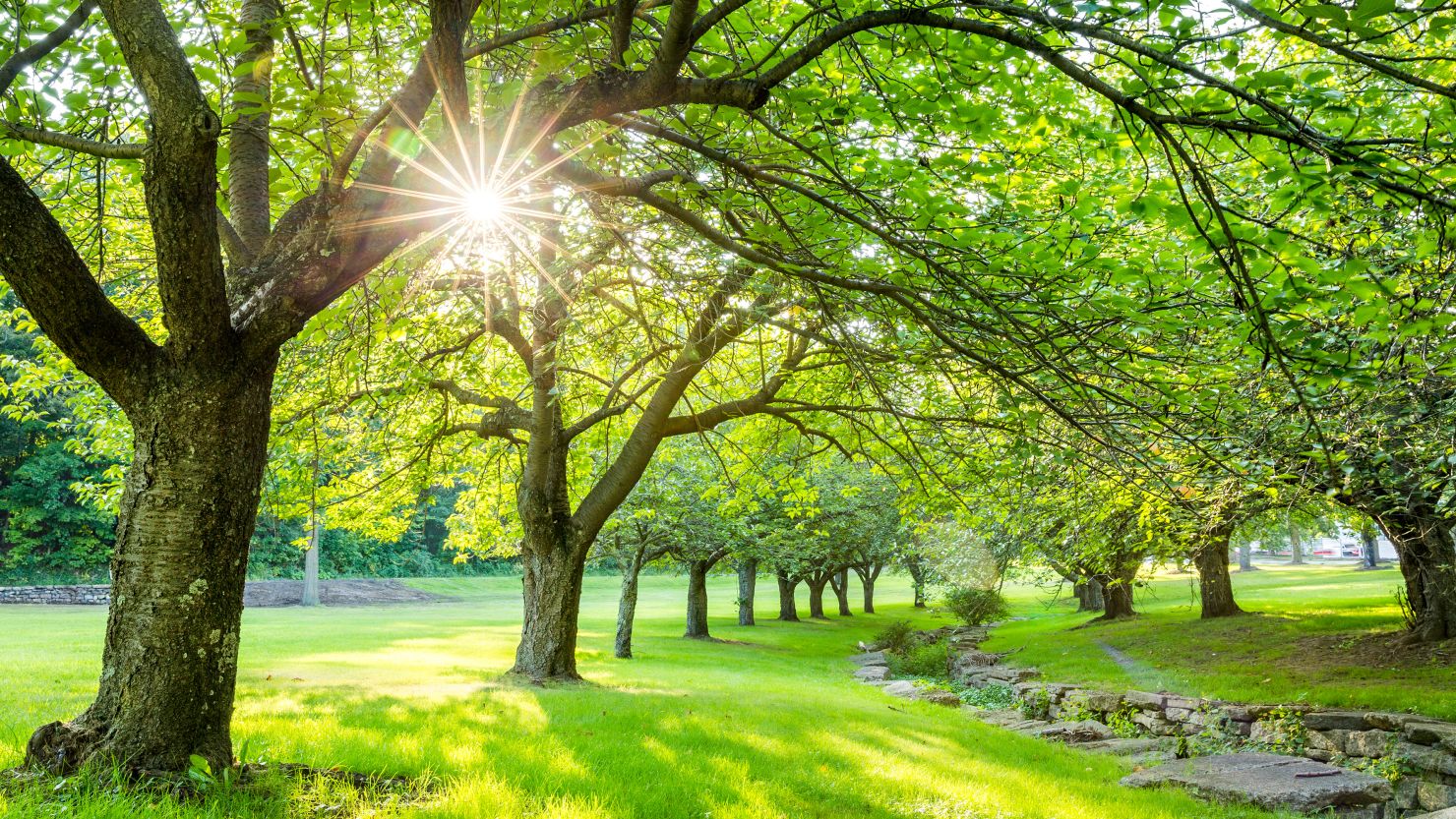 Is Your Home Ready for Summer? Seasonal Security Checklist – Catawba ...